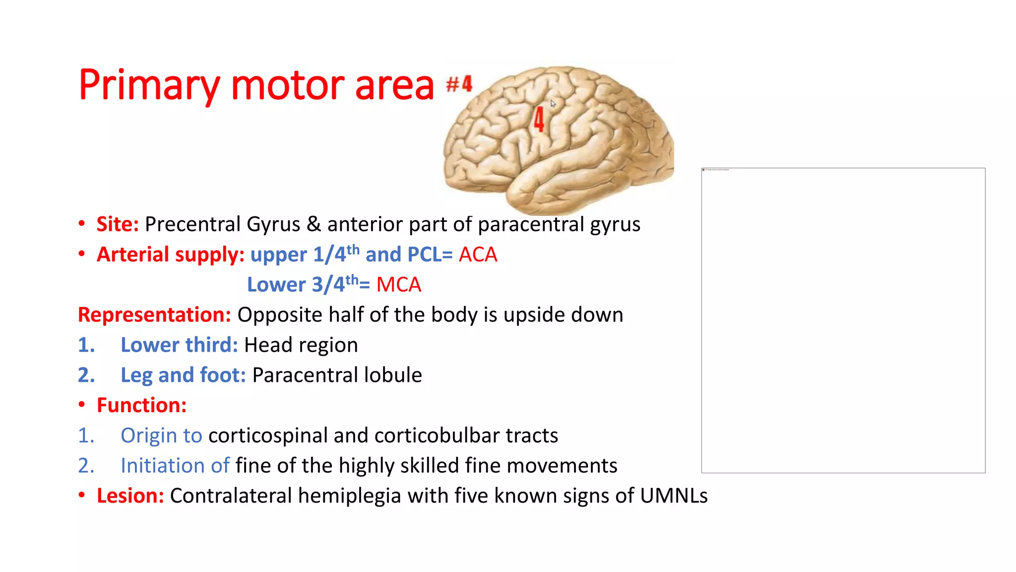 Higher Cortical Functions.pptx