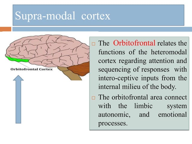 Higher cortical functions final | PPTX