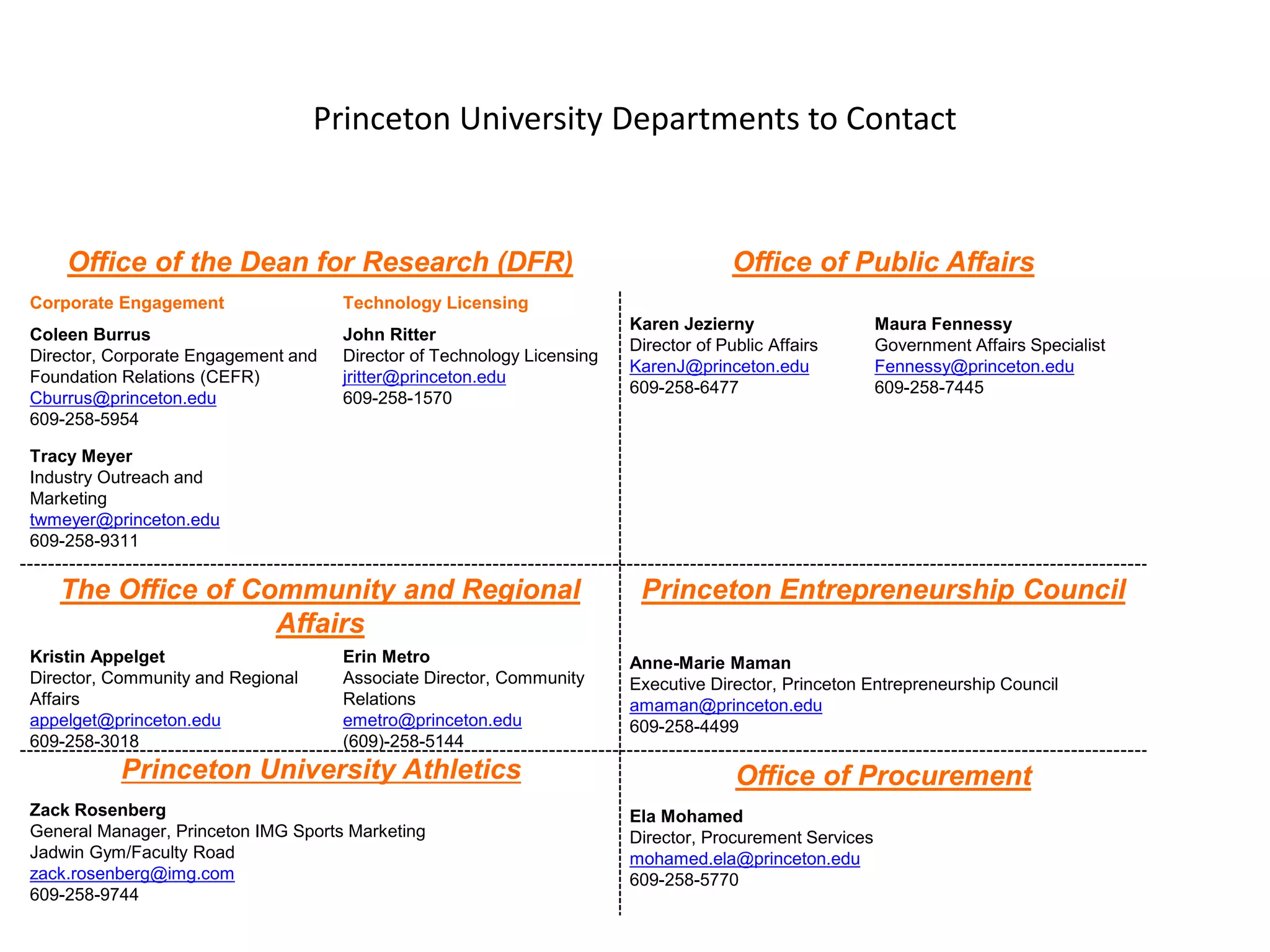 Princeton University - Collaboration Accelerates Innovation | PPTX