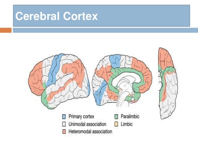 Higher functions final