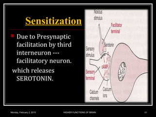 Higher functions of brain.learning memory | PPT