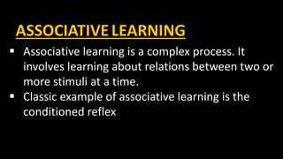 Higher Intellectual functions of brain | PPTX
