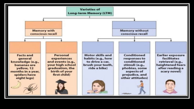 Higher Intellectual functions of brain | PPTX