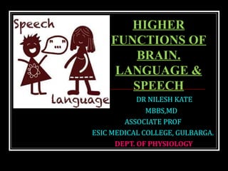 Higher functions of brain language speech. | PPT | Brain and Nervous ...