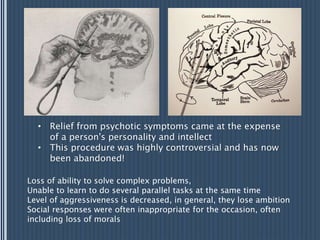 Higher functions of the nervous system | PPTX