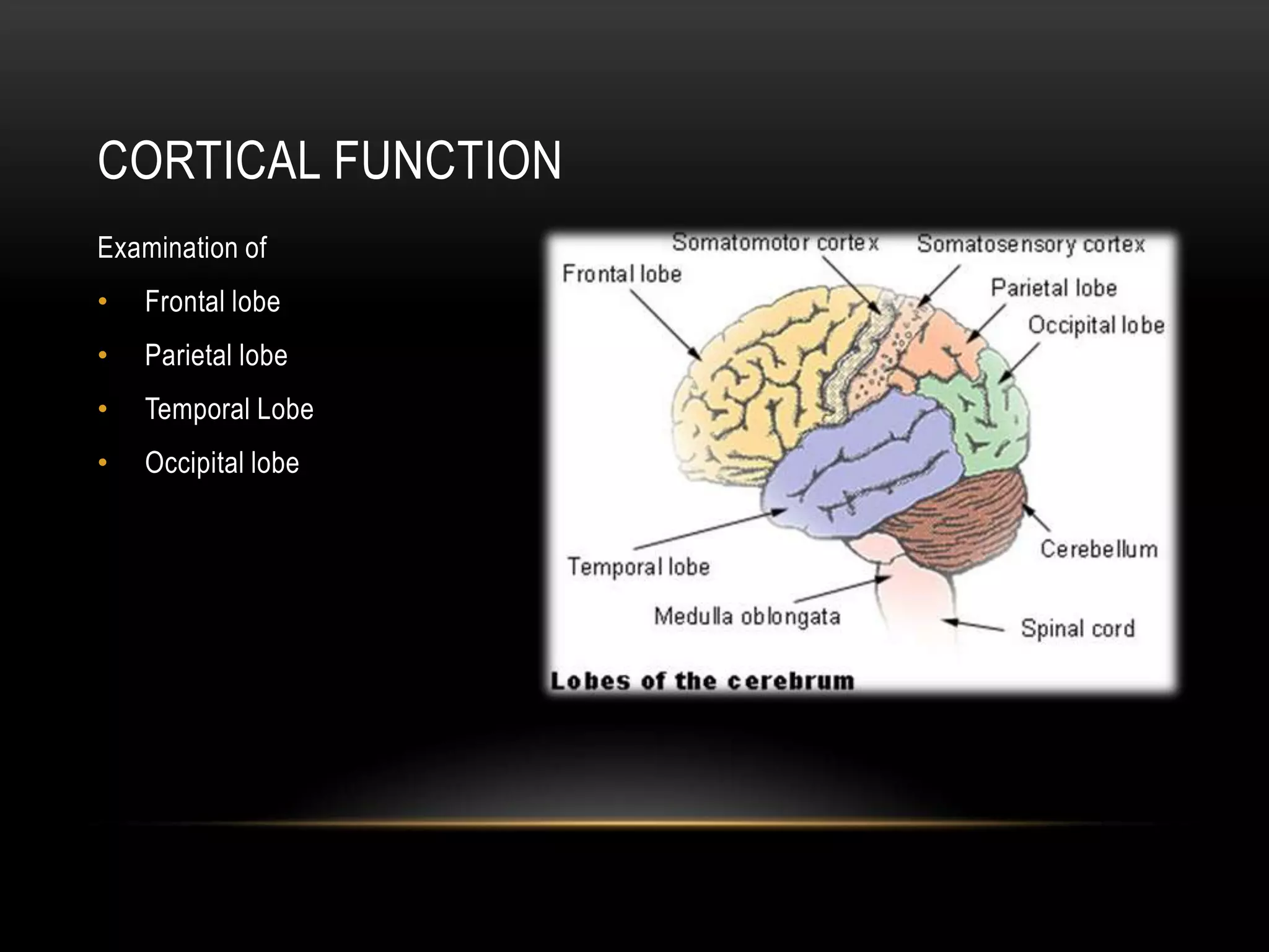 Higher mental function | PPTX