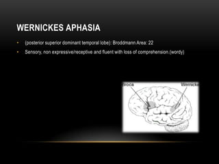 Higher mental function | PPTX