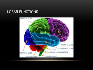 Higher mental function | PPTX
