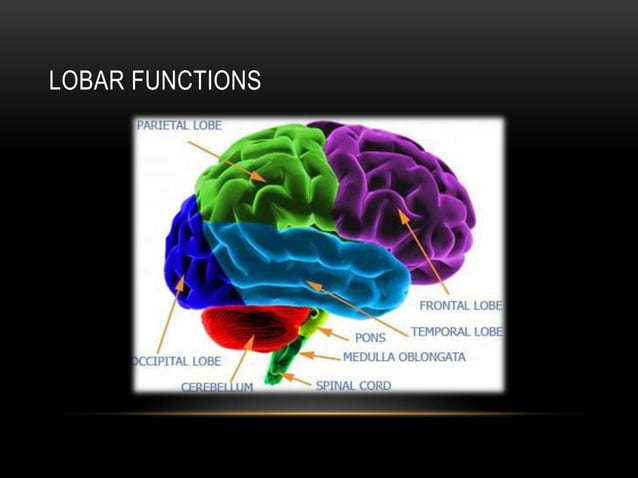 Higher mental function | PPTX | Brain and Nervous System Disorders ...