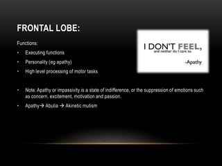 Higher mental function | PPTX