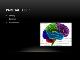 Higher mental function | PPTX