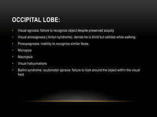 Higher mental function | PPTX