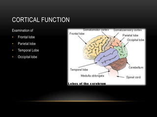 Higher mental function | PPTX