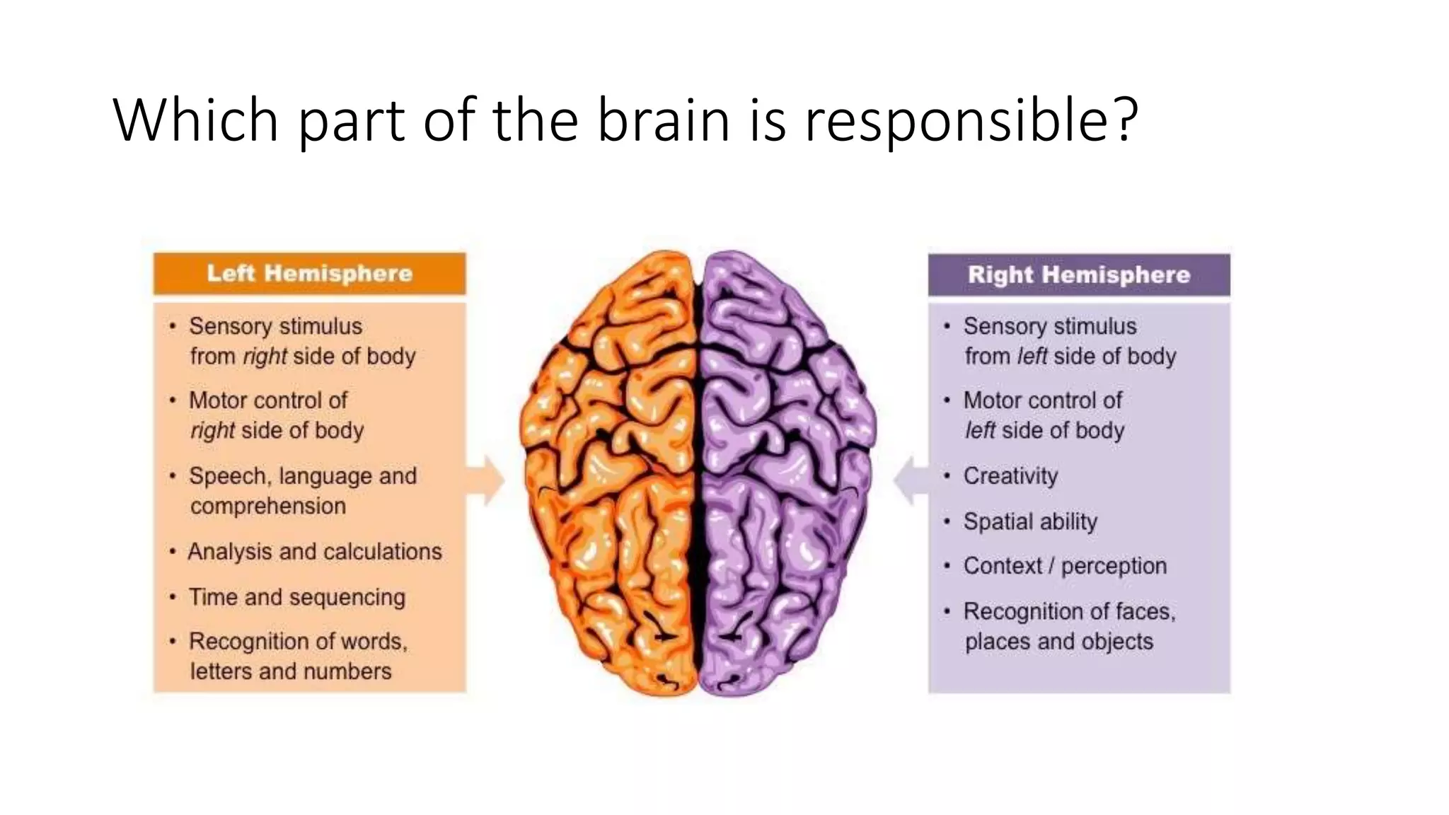 Higher Mental Function Assesment.pptx