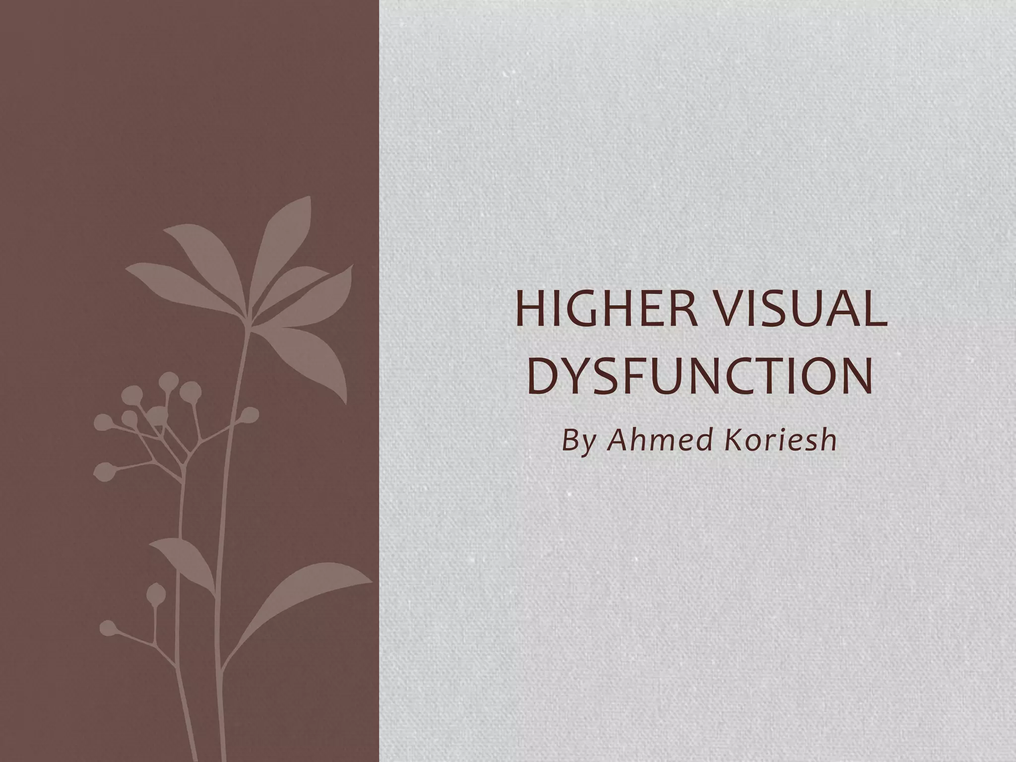 Higher visual dysfunction | PPTX