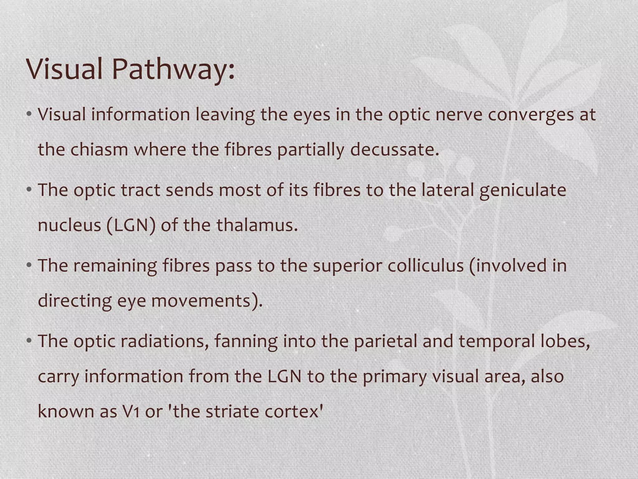 Higher visual dysfunction | PPTX