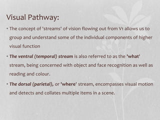 Higher visual dysfunction | PPTX