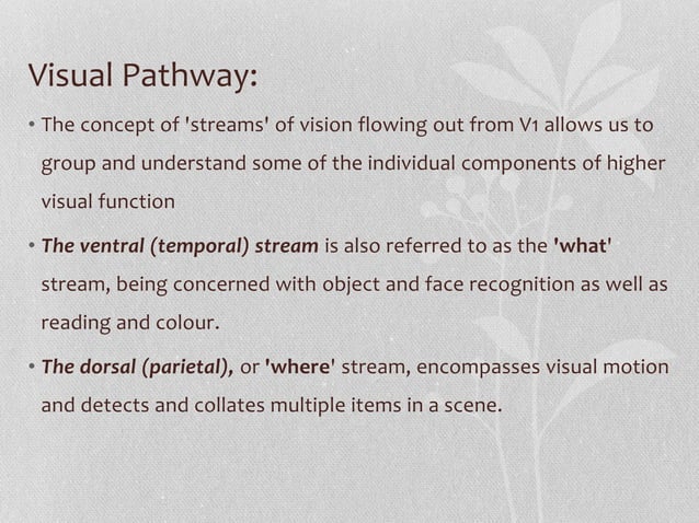 Higher visual dysfunction | PPTX