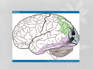 Higher visual dysfunction | PPTX