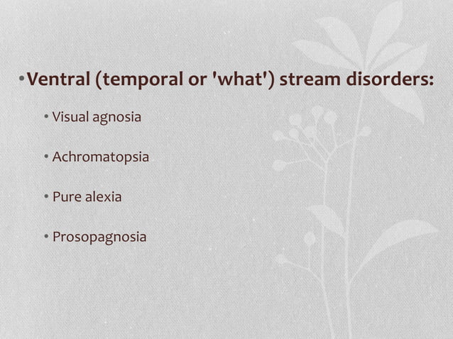 Higher visual dysfunction | PPTX