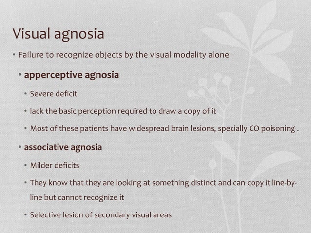 Higher visual dysfunction | PPTX