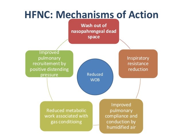 High flow nasal cannula in neonataes
