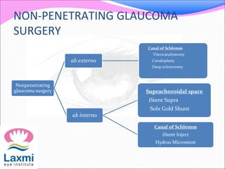 High Frequency Deep Sclerotomy (HFDS) | PPTX