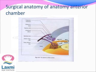 High Frequency Deep Sclerotomy (HFDS) | PPTX