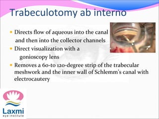 High Frequency Deep Sclerotomy (HFDS) | PPTX