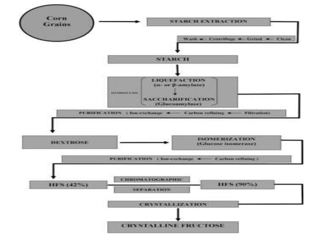 High fructose syrup and maltose syrup Production | PPTX | Chemistry ...