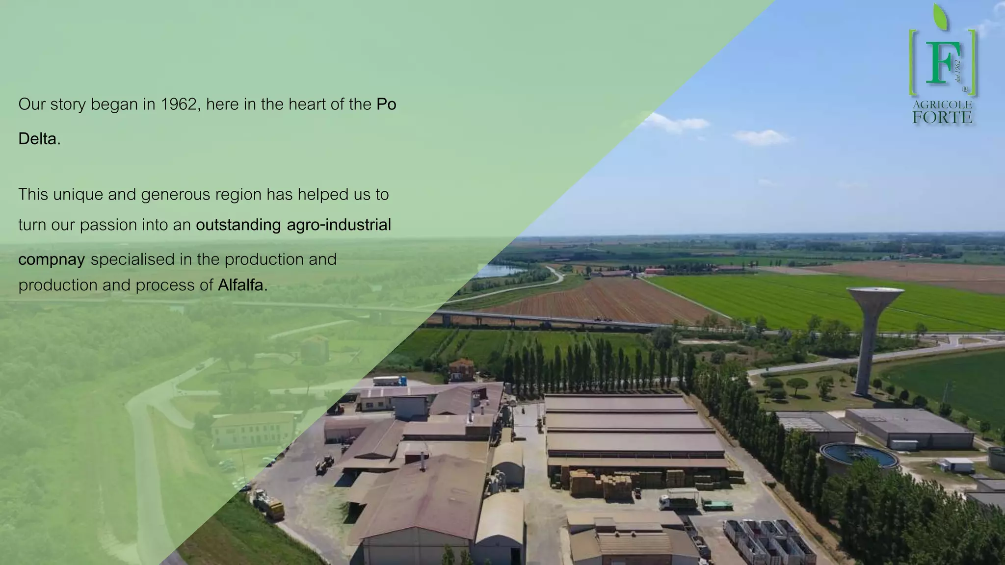 High Grade Dehydrated Alfalfa | PPSX | Agriculture | Industries