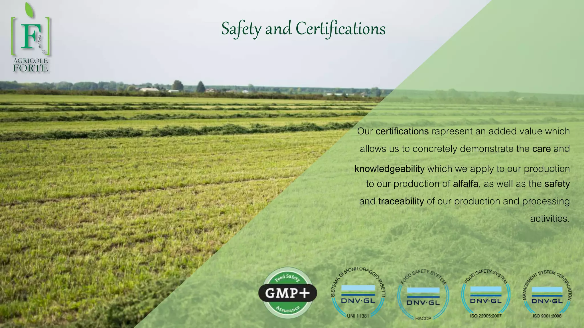 High Grade Dehydrated Alfalfa | PPSX | Agriculture | Industries