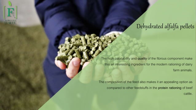 High Grade Dehydrated Alfalfa | PPSX | Agriculture | Industries
