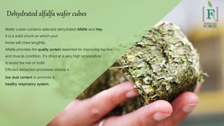 High Grade Dehydrated Alfalfa | PPSX | Agriculture | Industries