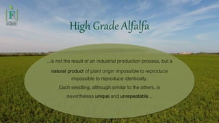 High Grade Dehydrated Alfalfa | PPSX | Agriculture | Industries