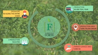 High Grade Dehydrated Alfalfa | PPSX | Agriculture | Industries