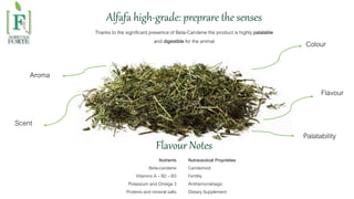 High Grade Dehydrated Alfalfa | PPSX | Agriculture | Industries