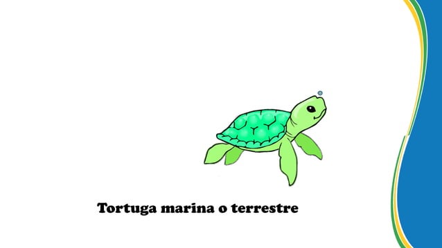Charla sobre tortugas marinas en colegio San Salvador | PPT