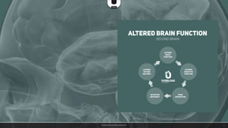 High level personal training workshop - Overload Worldwide (Fitfair ...