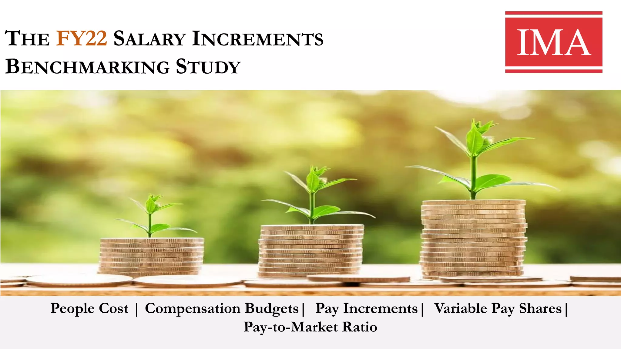 Salary benchmarking.pdf