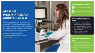 How to Interpret Your Blood Test Results | PPTX | Endocrine and ...