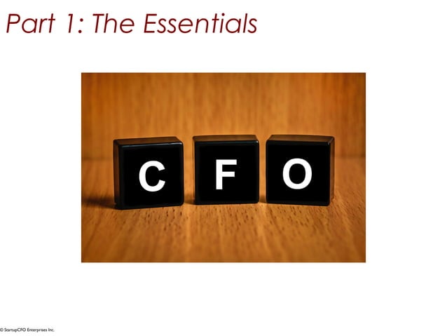 The High Performance CFO - everything you need to know | PPT