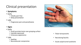 High pressure injection injuries Dr Sean Nicklin | PDF