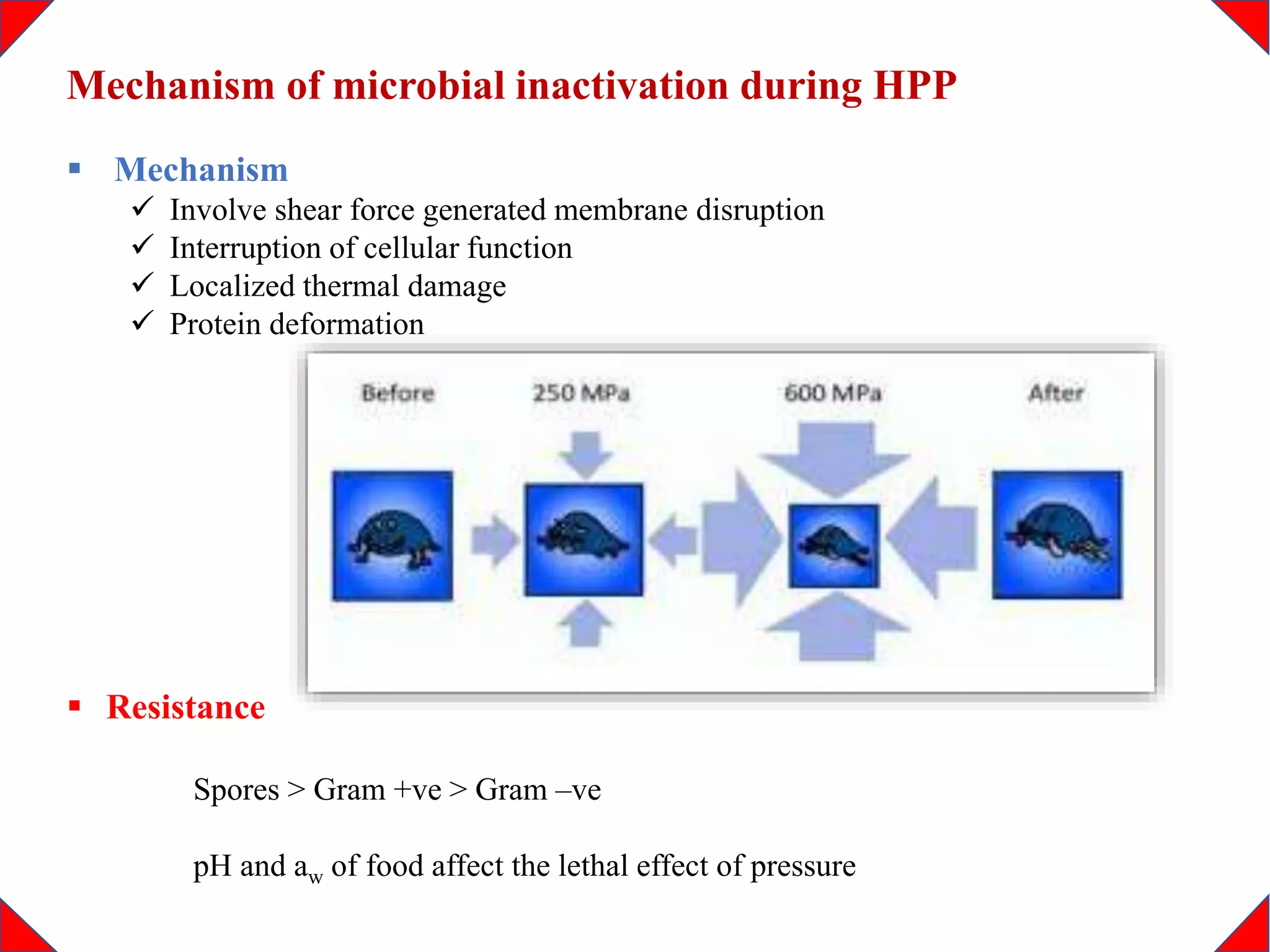 High Pressure Processing of Food (HPP).pptx
