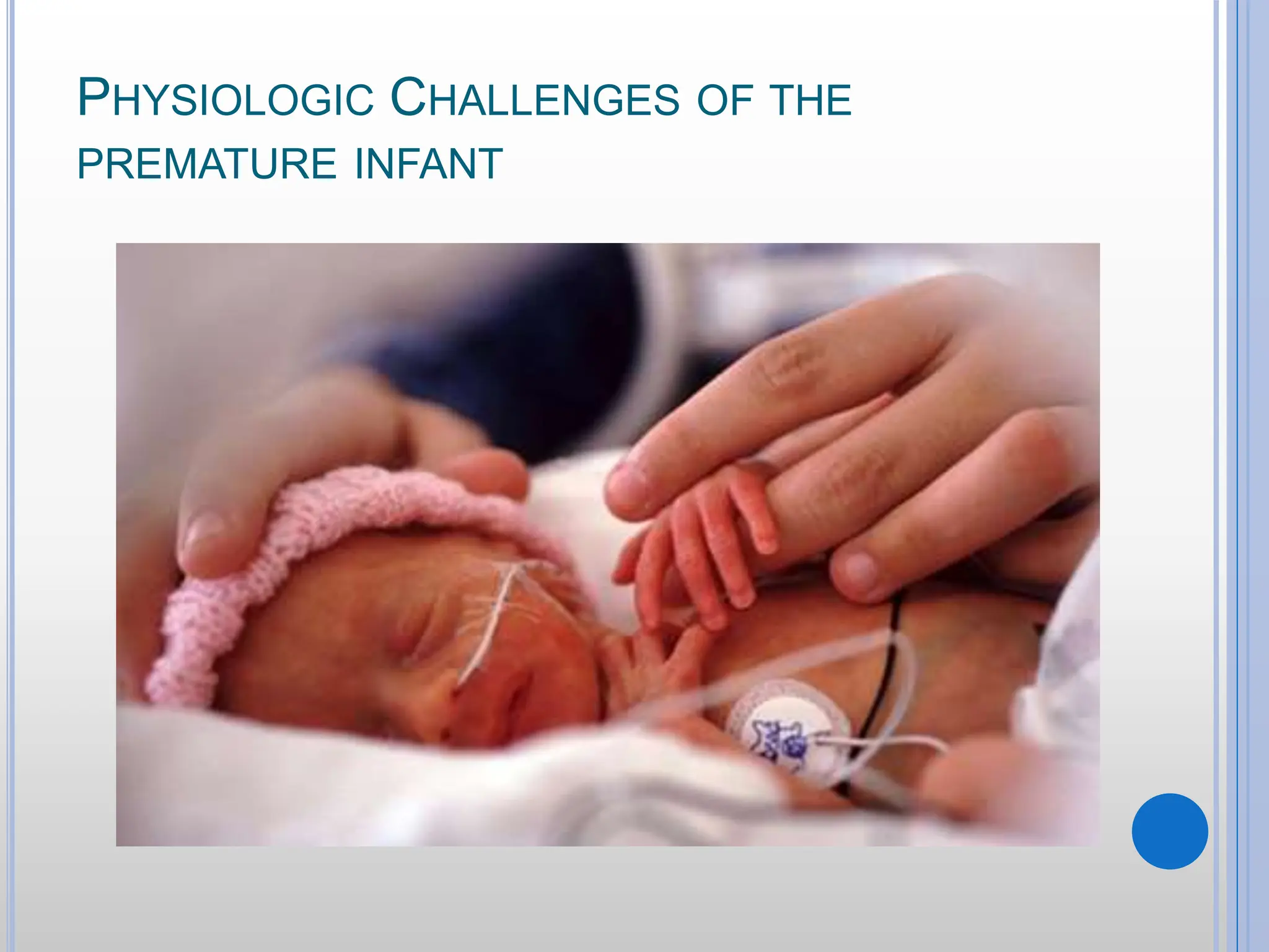 HighRisk Neonates for undergraduates.pptx