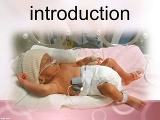 High risk newborn | PPTX