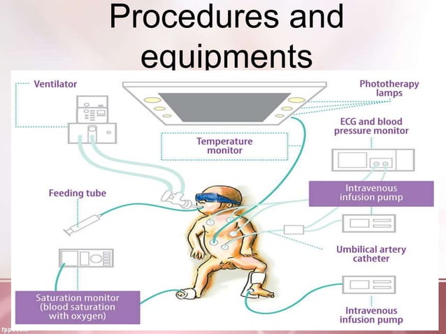 High risk newborn | PPTX | Pregnancy | Reproductive Health
