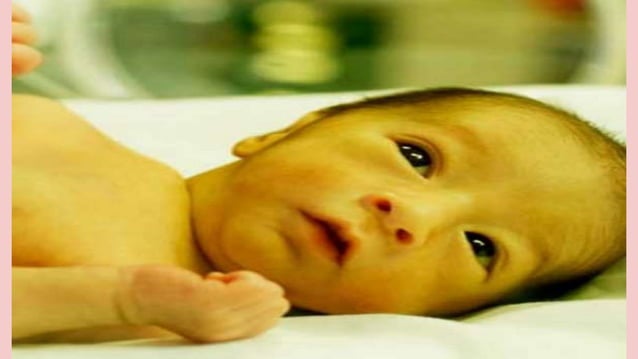 HIGH RISK NEWBORN.pptx