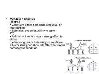 Biological Basis of Behavior | PPTX
