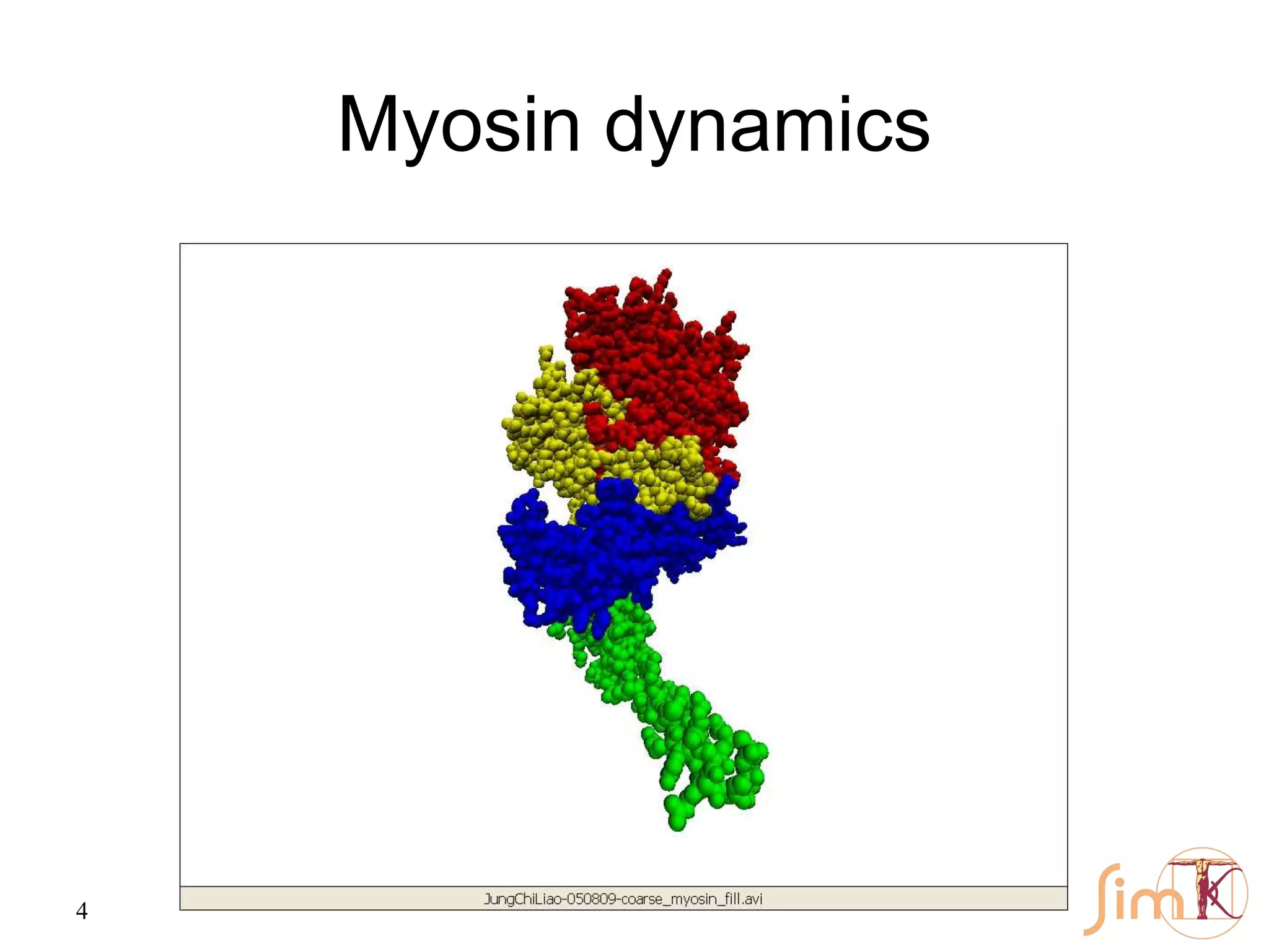 High speed multibody dynamics _ sherman_Simbody _ 2006.ppt